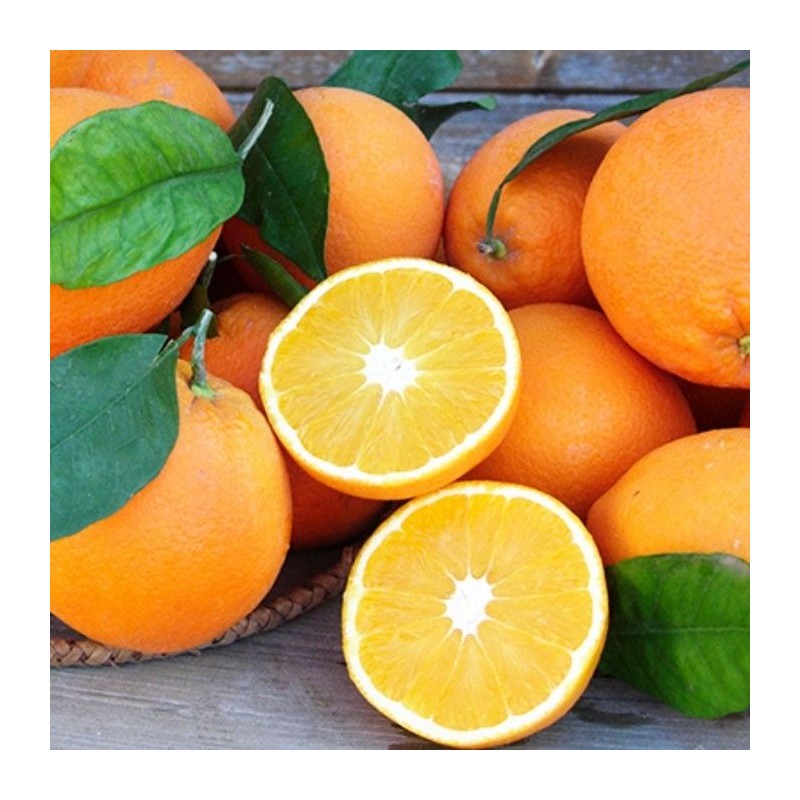 Tienda - Naranjas Kuka